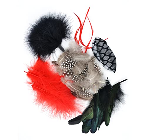 Midwest Design Touch of Nature Packed Feather Assortment for Arts and ...